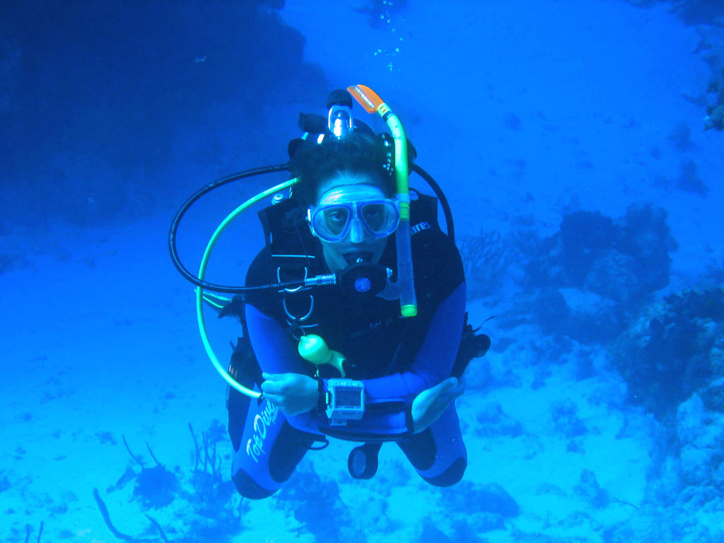 Referral PADI – Aquamarinas
